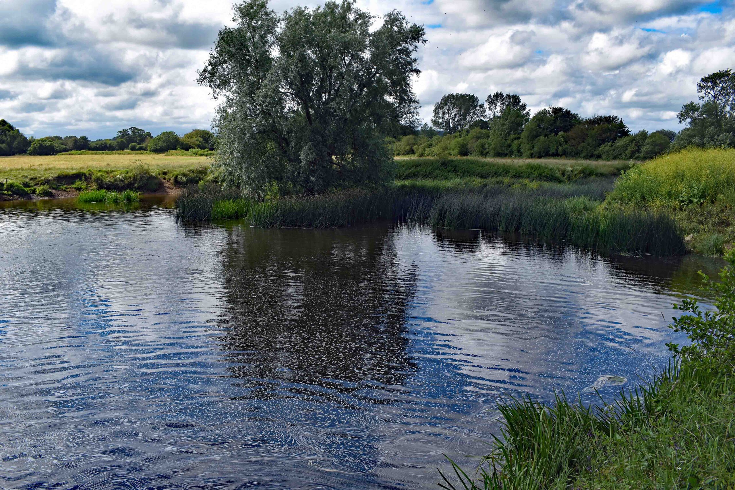 Update - Fiddleford Mill. We are very pleased to say the Environment ...